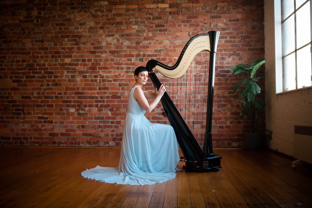 Beginner Course with harp rental - The Harp Lab
