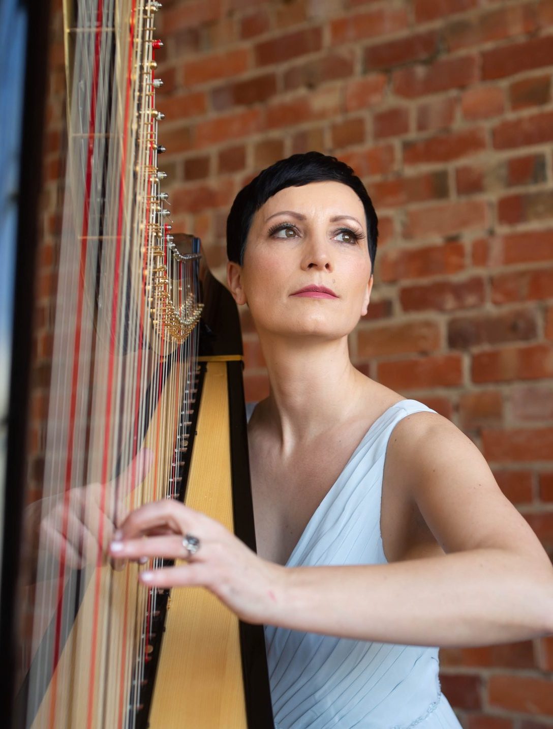 Long Bio - The Harp Lab