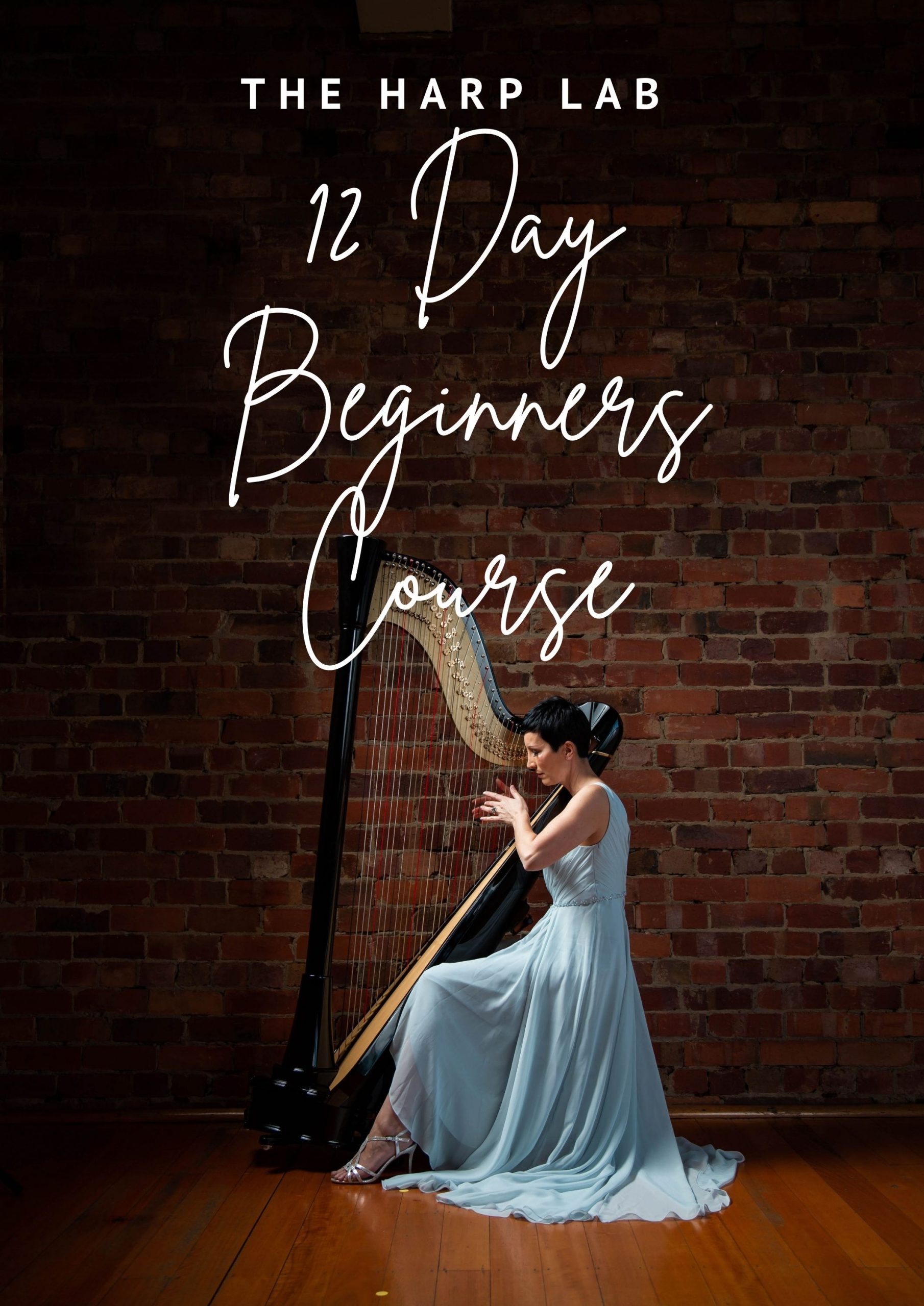 Harp Rental - The Harp Lab